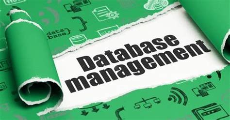 Oracle Dbas Versus Sql Server Dbas Database Trends And Applications