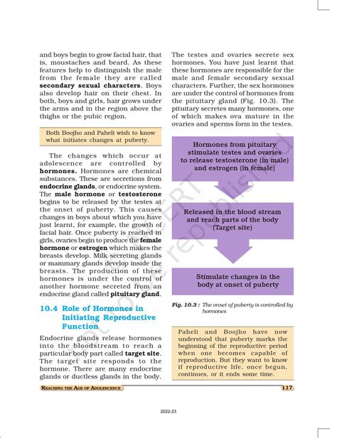 NCERT Book For Class Science Chapter Reaching The Age