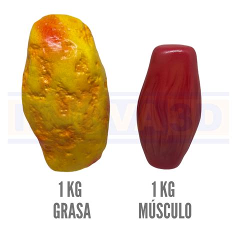 1 Kg Fett Vs 1 Kg Muskeln