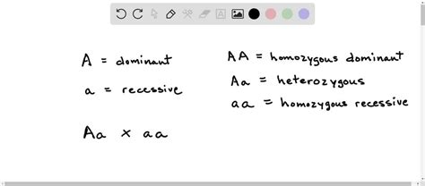 Heterozygous Recessive
