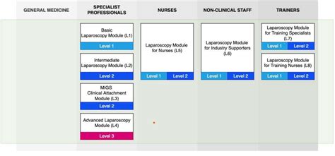 Gesea4eu Gesea Learning Modules Laparoscopy Modules Gesea Educational Programme