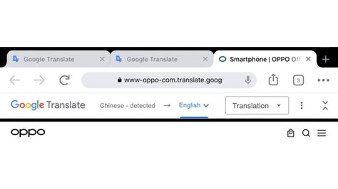 How To Use Google Translate On A Website