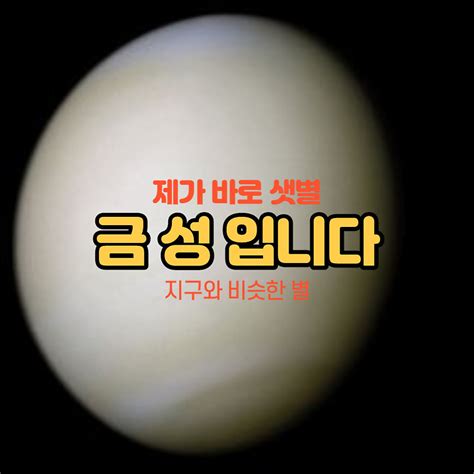 금성 비너스 샛별 지구 온실효과의 예측 지구형 내행성 지구와 가장 비슷했을 행성