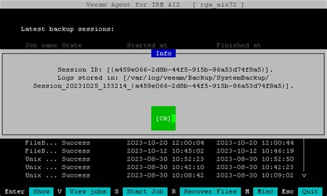 Starting Backup Job From Control Panel Veeam Agent For Ibm Aix User Guide