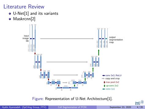 Deep Learning Based Segmentation Pipeline For Label Free Phase Contrast