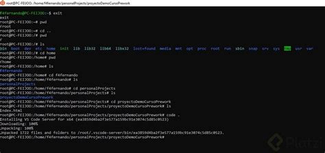 Tengo Problemas Para Iniciar Vs Code Desde La Terminal Command ‘code