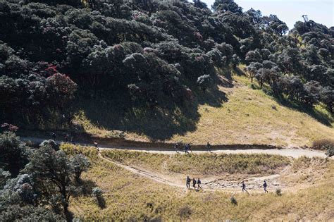 Dvb အပန်းဖြေ လေ့လာသူတွေ အသွားများနေတဲ့ ခေါ်နူးစုမ်တောင် ဓာတ်ပုံ