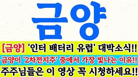 금양 인터 배터리 유럽 대박소식 금양이 2차전지주중에서 가장 반짝반짝 하는 이유 성공한 사람들이 성공하는 이유는
