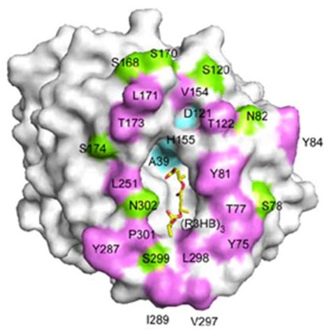 Materials Special Issue Biodegradability Of Materials