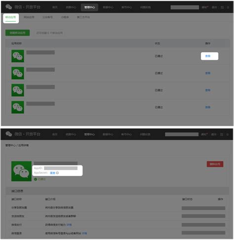 Appid及其主体信息查询指引appid认证主体 Csdn博客