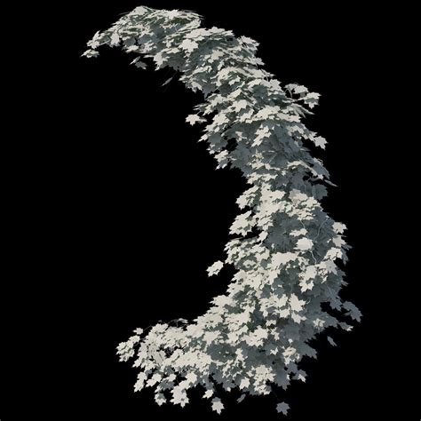 아이비 크레 센트 3d 모델 19 Fbx Ma Obj Max Unknown Free3d