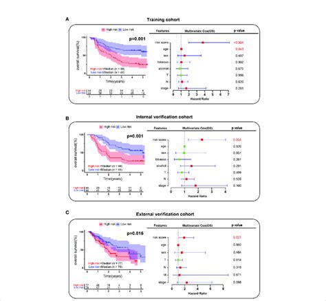 Risk Regression Model Establishment A Survival Analysis Of Patients