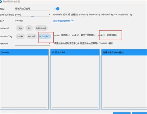 新版v2rayn 让局域网socks5直接全局 其余默认分流 美国vps综合讨论 全球主机交流论坛 Powered By Discuz