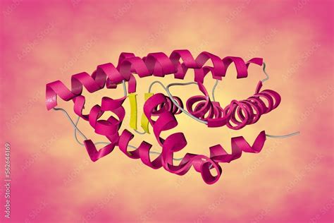 Crystal Structure Of Human Estrogen Related Receptor Gamma Ligand Binding Domain Complex With