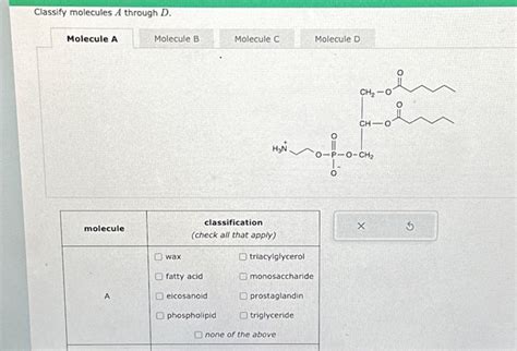 Solved Classify Molecules A Through D Molecule A Molecul Solved Classify Molecules A Through D Molecule A Molecul