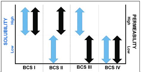 The Biopharmaceutical Classification System Download Scientific Diagram