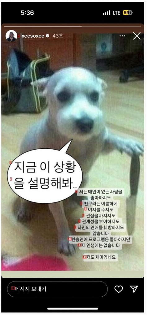 한소희 인스타 업데이트 촬스의 이슈와 유머