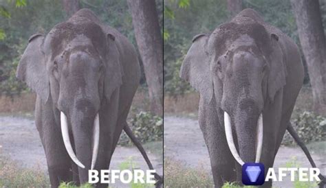 Topaz Photo Ai Review With Before After Images[2024] Photographyaxis