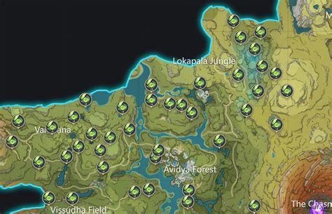 Все Дендрокулы в Genshin Impact где найти