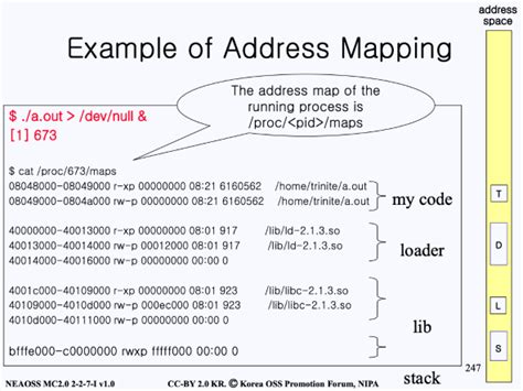 Linux Kernel Memory Management