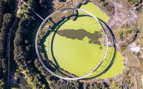 Protocol Vs Sop Whats The Difference This Vs That