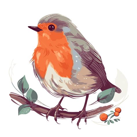 로빈 새 벡터 스티커 클립 아트 로빈 그림 흰색 배경 만화에 고립 상표 클립 아트 Png 일러스트 및 벡터 에 대한 무료 다운로드 Pngtree
