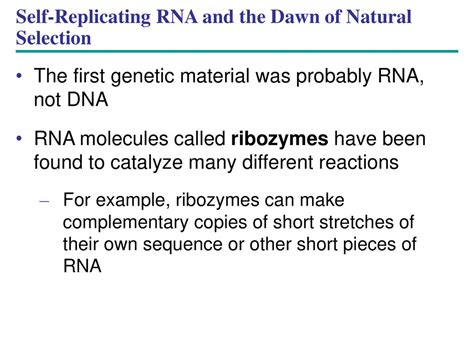 The History Of Life On Earth Ppt Download