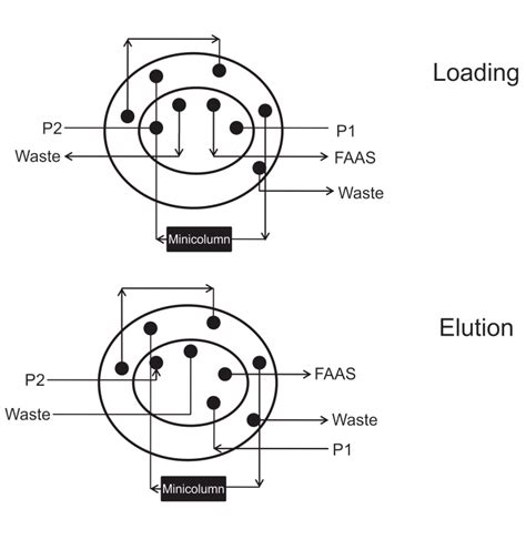 A Schematic Representation For The Working Of Fi Faas Preconcentration Download Scientific