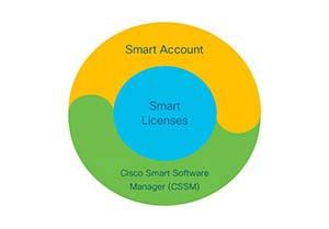 لایسنس سیسکو اسمارت Cisco Smart License