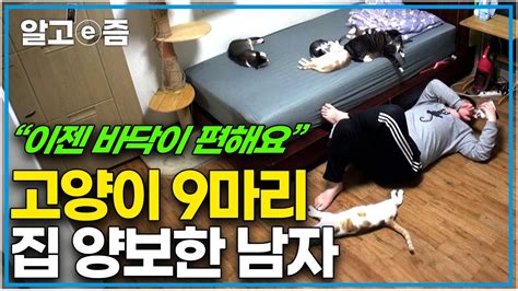 고양이 안 키우려 했는데 이제는 9마리 고양이의 집 가사 됐죠 어쩔 수 없이 고양이와 함께 살기로 한 남자의 집 어느새 9마리의 집사가 되었다｜고양이를 부탁해