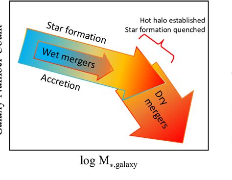 Schematic Of The Galaxy Stellar Mass Function Here We Speculate With