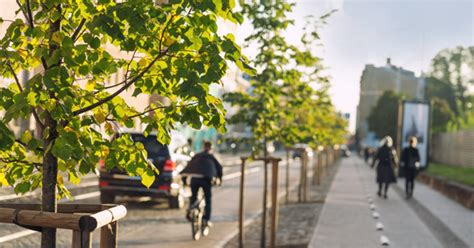 Ultimate Guide To Road Safety Analysis Ptv Group