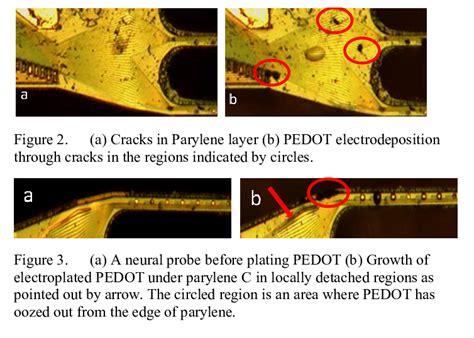 A A High Density Silicon Neural Probe With Parylene C As The