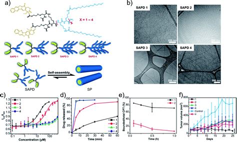 Tumor Microenvironment Oriented Adaptive Nanodrugs Based On Peptide