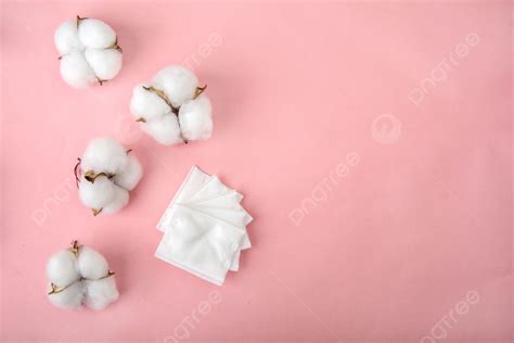 퍼스널 케어 주간 메이크업 리무버 코튼 핑크 배경 배치 사진 및 무료 다운로드를위한 그림 Pngtree