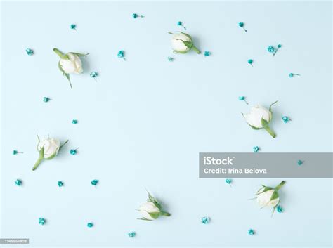 파스텔 블루 배경에 흰색 장미와 파란색 꽃으로 만든 창조적 인 구성 최소한의 봄 꽃 개념 공간을 복사합니다 0명에 대한 스톡