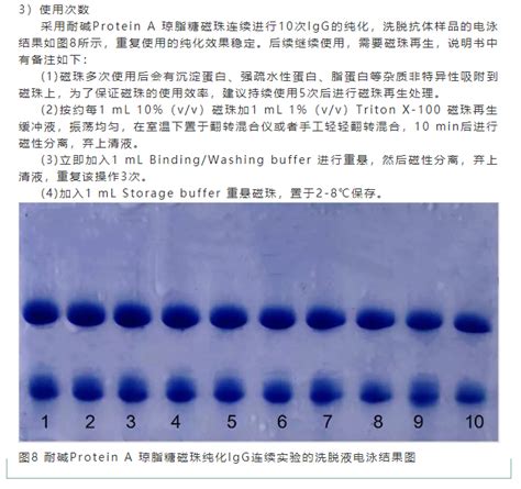 中科森辉耐碱Protein A琼脂糖磁珠 中科森辉微球技术苏州有限公司