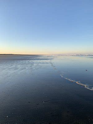 Grayland Beach State Park 44 Photos And 30 Reviews 925 Cranberry