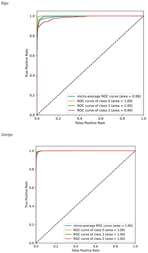 From Harvest To Market Non Destructive Bruise Detection In Kiwifruit Using Convolutional Neural