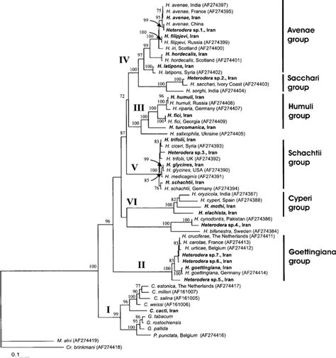 Minimum Evolution Gtr C I C G Model And Neighbour Joining Method Tree
