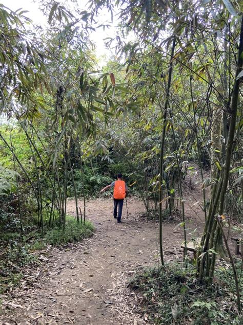 大溪林蔭五連峰 溪洲山 頭寮山 石龜坑山 白石山 草嶺山 健行筆記