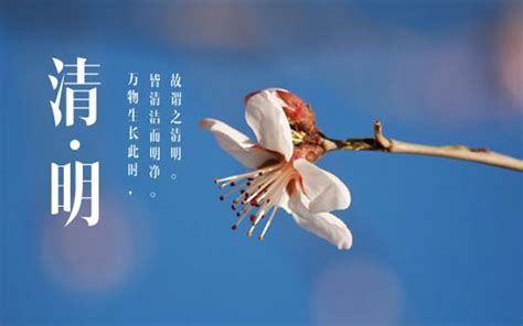 二十四节气之清明 半月谈网