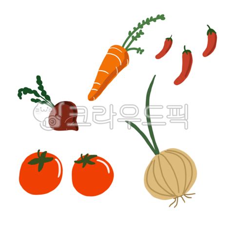 야채 야채일러스트 과일 과일일러스트 식물 사진 이미지 일러스트 캘리그라피 Jungnayo작가