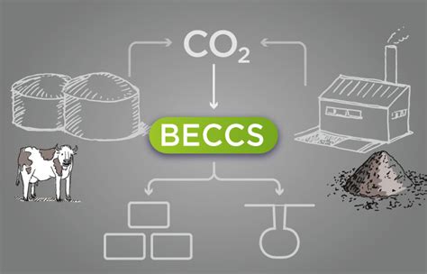 Bio360 Expo Exploring Beccs Technologies For A Green Energy Future Bio360 Europe