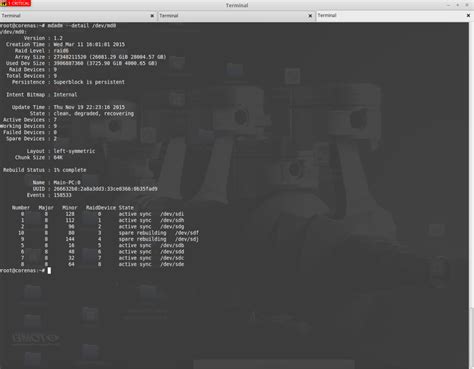 evening musing linux raid rebuilding experimental engineering