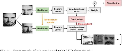 Figure 2 From Supervised Contrastive Attentive Learning For Facial Expression Recognition In The