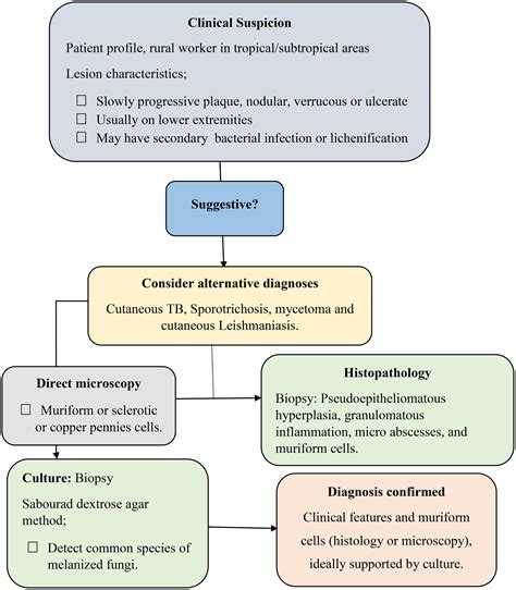Frontiers Chromoblastomycosis In Resource Limited Settings A Review