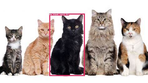 Different Results Running On Cpu And Gpu · Issue 65 · Idea Researchgroundingdino · Github