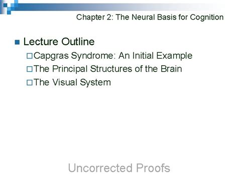 Chapter 2 Lecture Outline The Neural Basis For