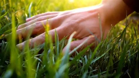 Embracing Nature And Finding Balance The Meaning Behind “touch Grass
